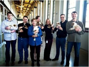 Startup Spotlight: Paw Print Genetics Founder and CEO Lisa Shaffer ...